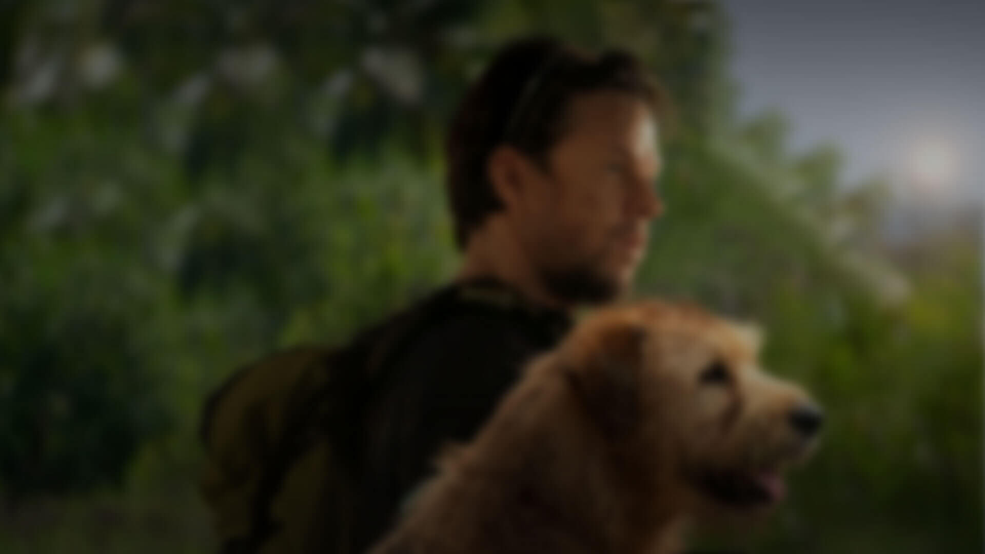 Arthur the King | Official Movie Site | Watch Now